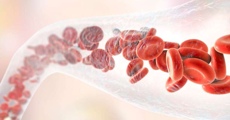 Creatina no sangue: como funciona e como identificar